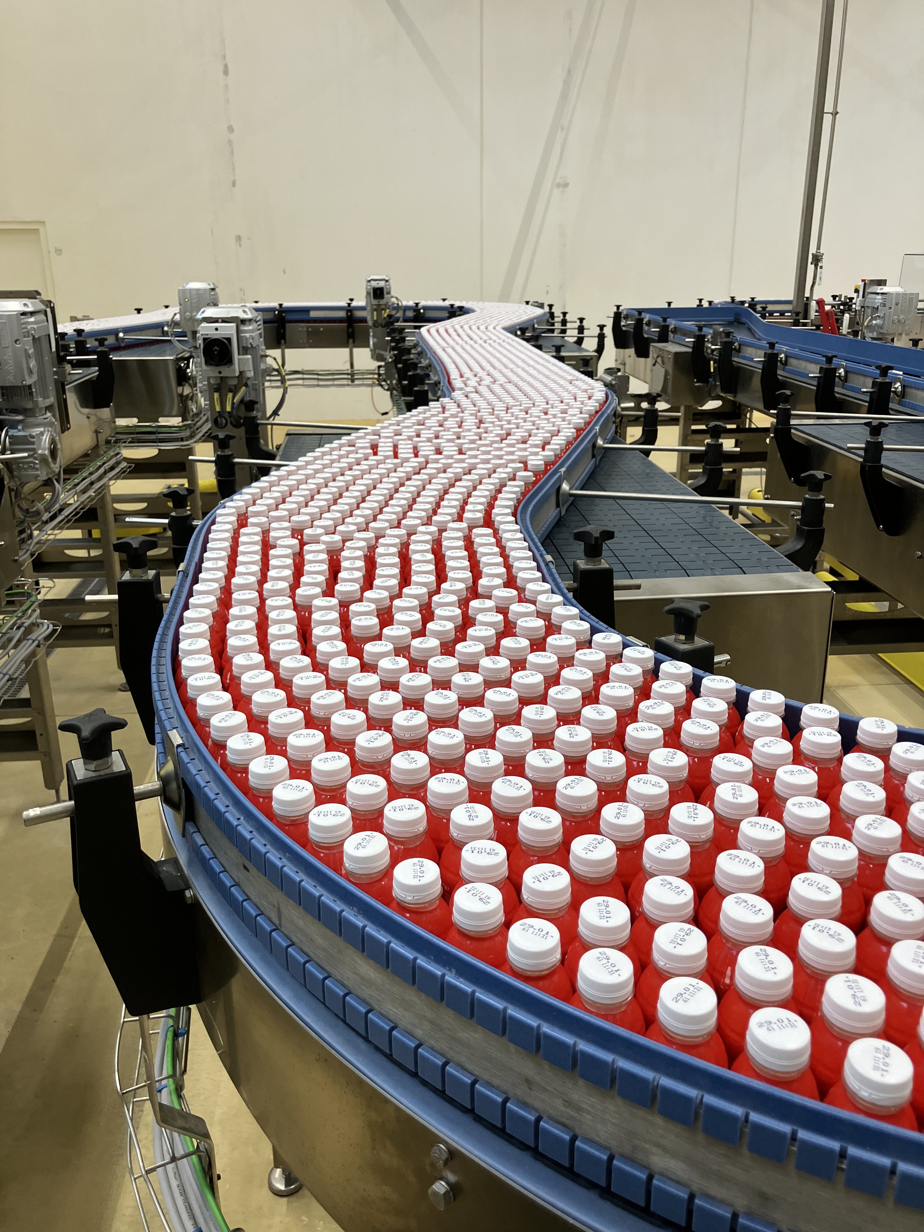 Mass Flow Conveyor – Temporary In Line Mass Product Buffer | Polyketting